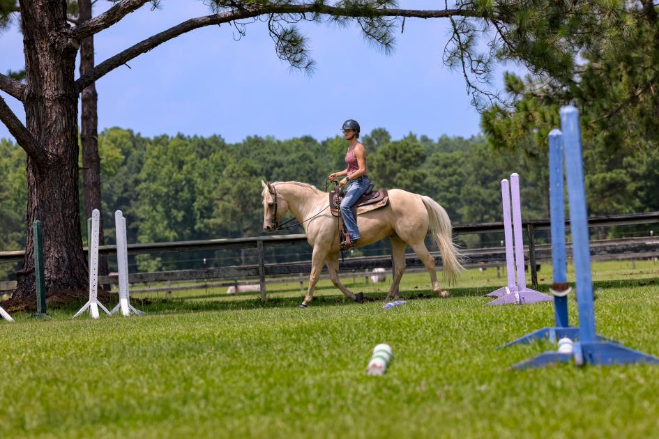 Horseback Riding, Lessons, Trail Rides | Camp Seafarer
